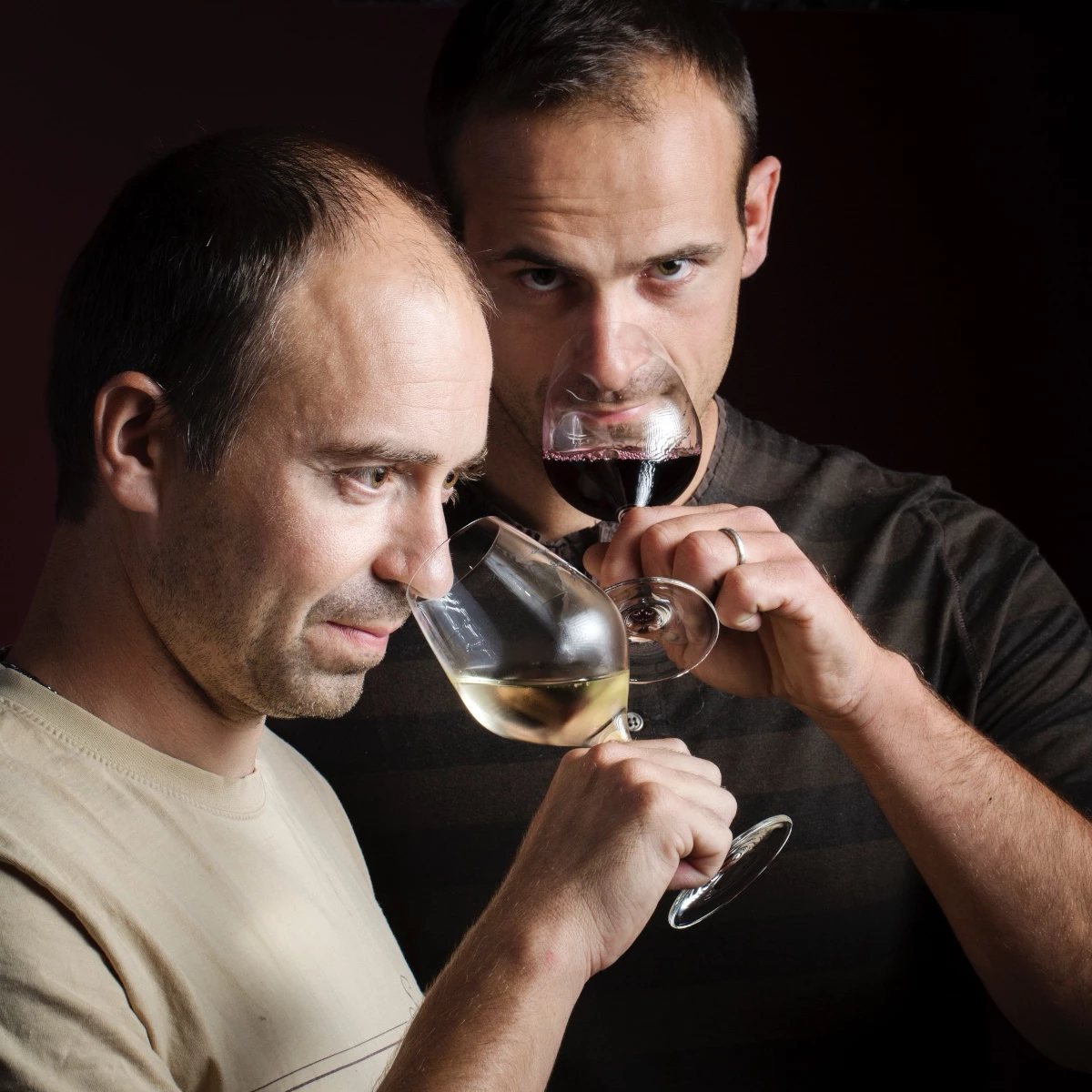 Pré Sémelé - Julien & Clément Raimbault - Des Hommes & Des Vins | Agent ...